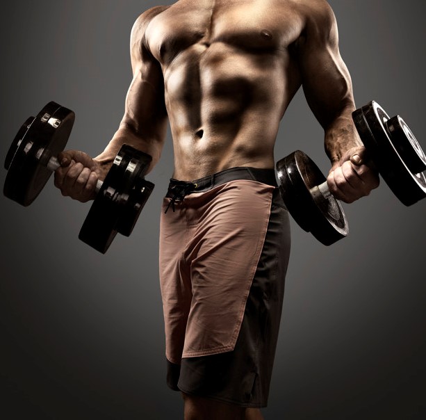 Home - Scasi Industries